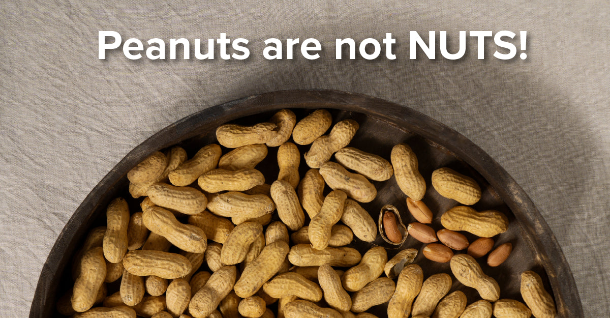 Peanuts are not NUTS! | Talk Nuts – Camel Nuts
