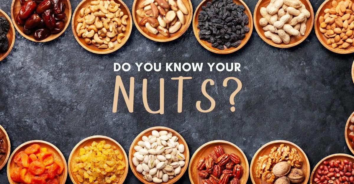 Categorizing the types of nuts and their health benefits – Camel Nuts
