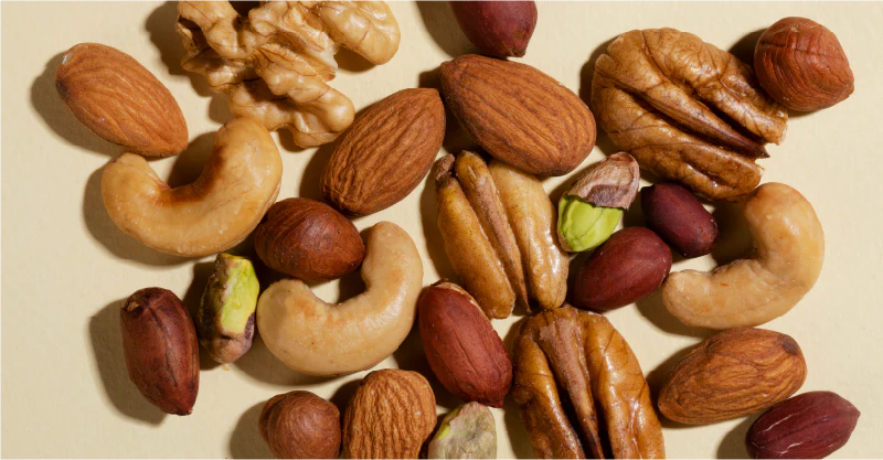 Mixed Nuts: 6 Powerful Ways They Boost Your Health – Camel Nuts