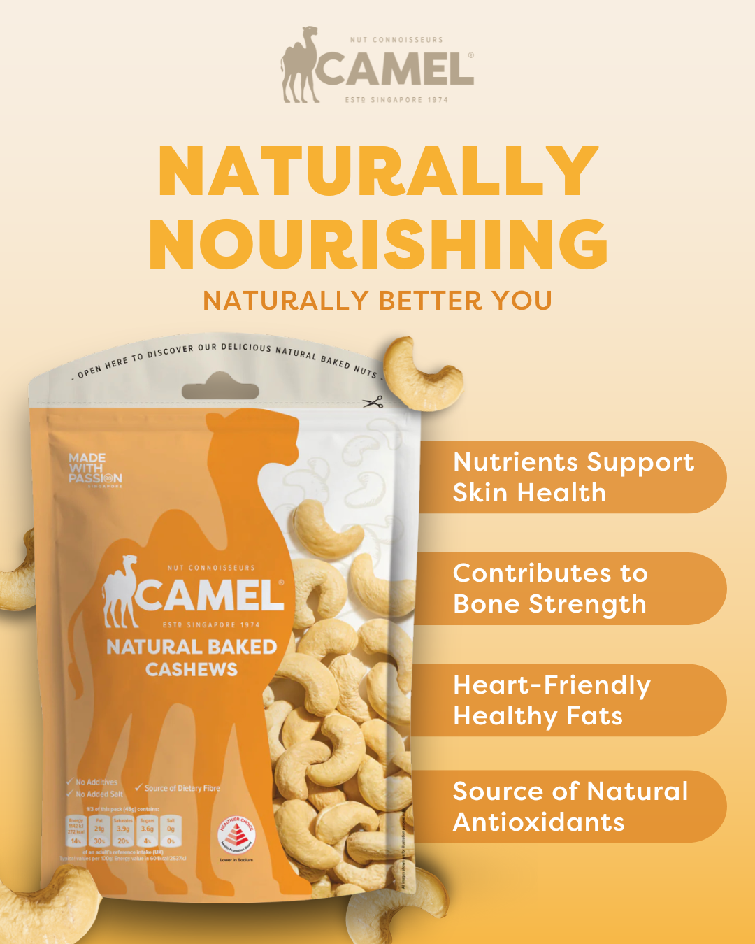 Premium Nuts in Singapore – Healthier Snacks | Camel Nuts