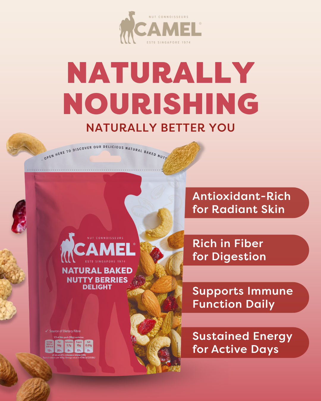 Natural Nutty Berries Delight – A Wholesome Blend of Healthy Snack ...